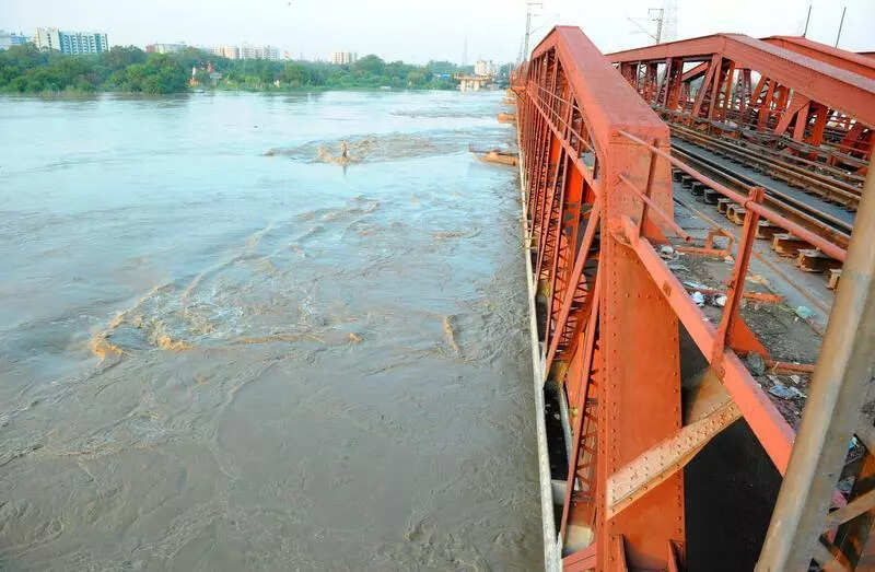 Yamuna cruise likely to start by year-end