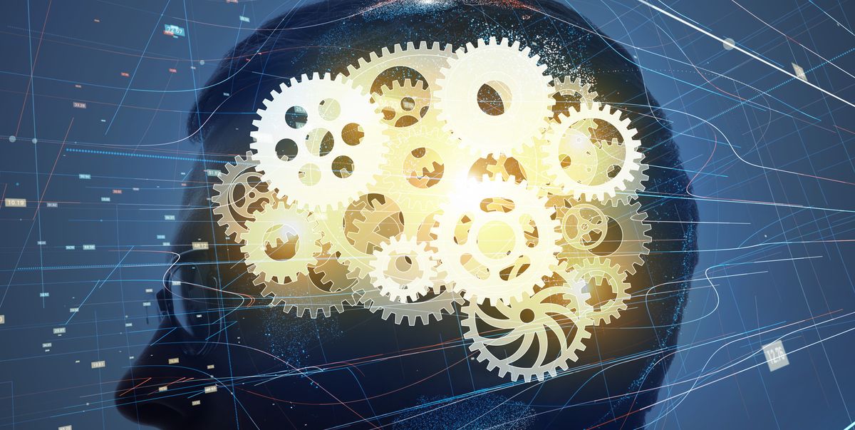 Your Brain Creates Its Own Version of Reality—And It’s the Version That ...