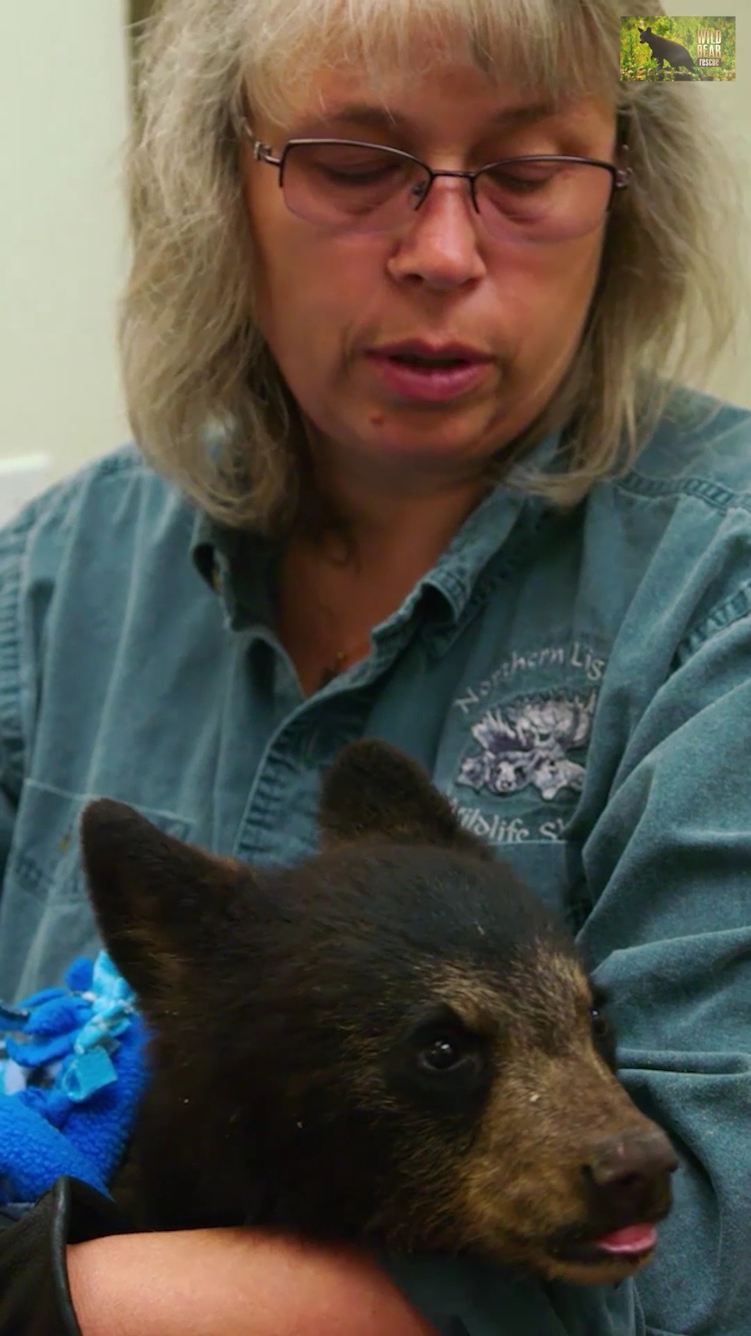 Will Wasabi Survive The Night?