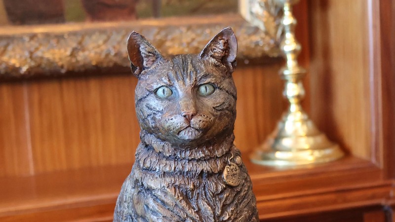 Oyster Box Hotel unveils bronze statue to honour beloved cat Skabenga