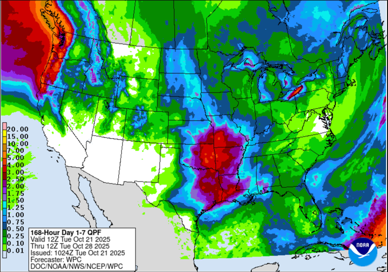 Up to 10 inches of rain expected in Washington this week. Where will ...