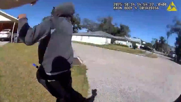 Tampa man throws loaded firearm at detectives, yells for mother during ...