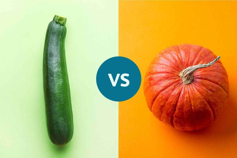 Squash vs. Pumpkin: Which One Is More Nutritious?