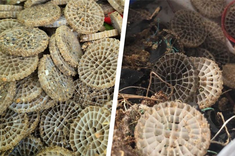 Strange plastic discs spotted along miles of Welsh coastline