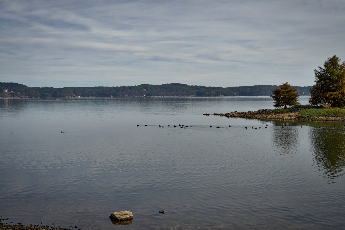 ‘The Cheapest Way to Live': Ditch Van Life for Boat Life