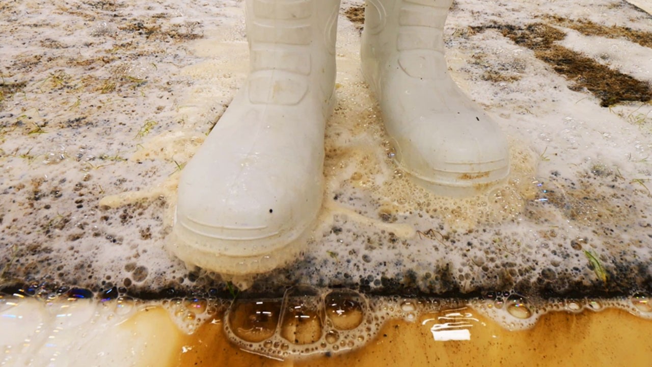 I transformed this rug in just minutes! 😲