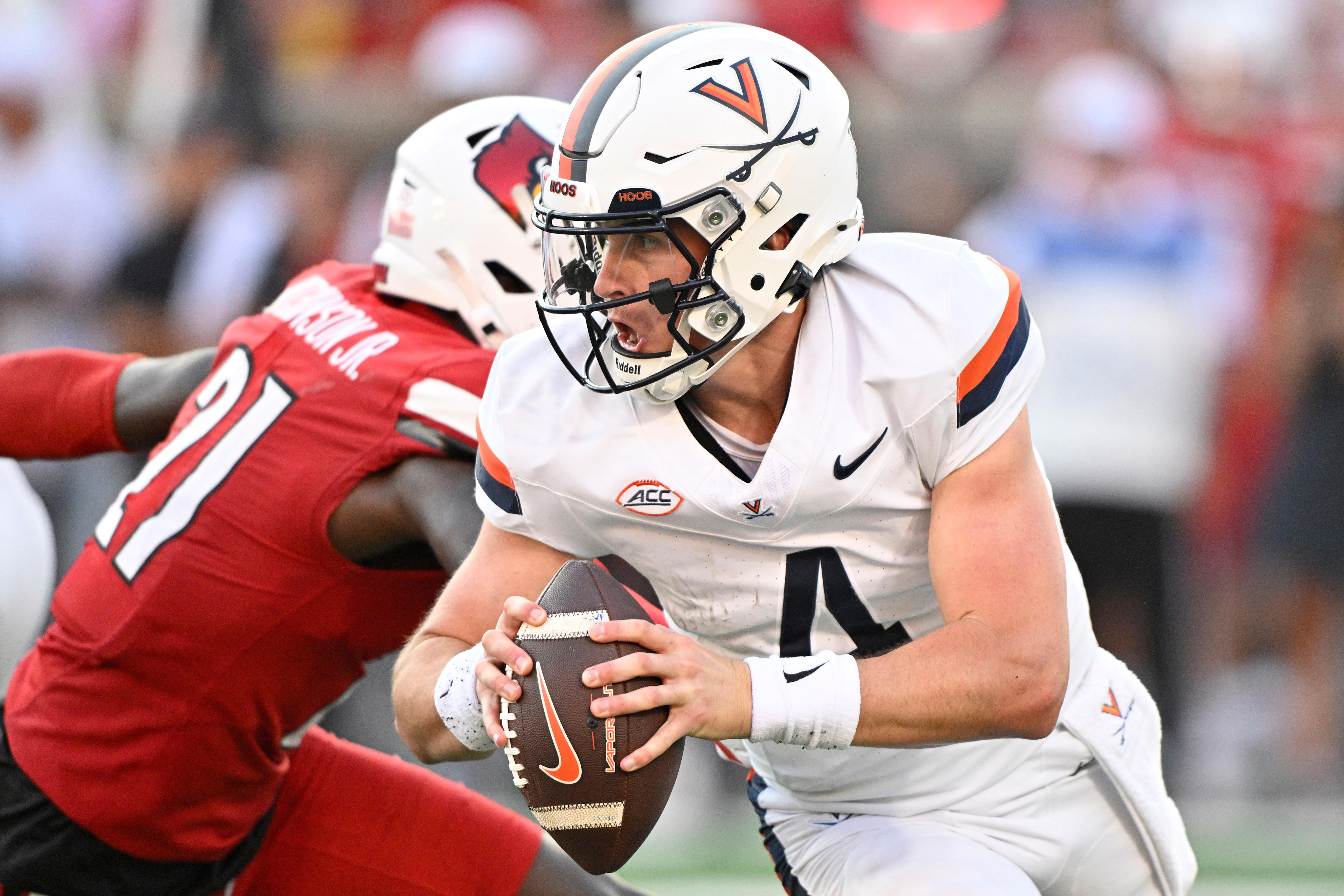 Bill Belichick denies report of Virginia QB Chandler Morris interest in ...