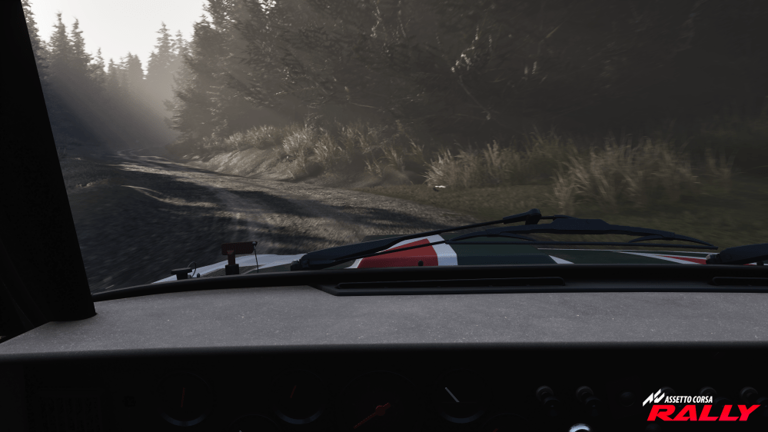 'Rally' takes sim racing off-road