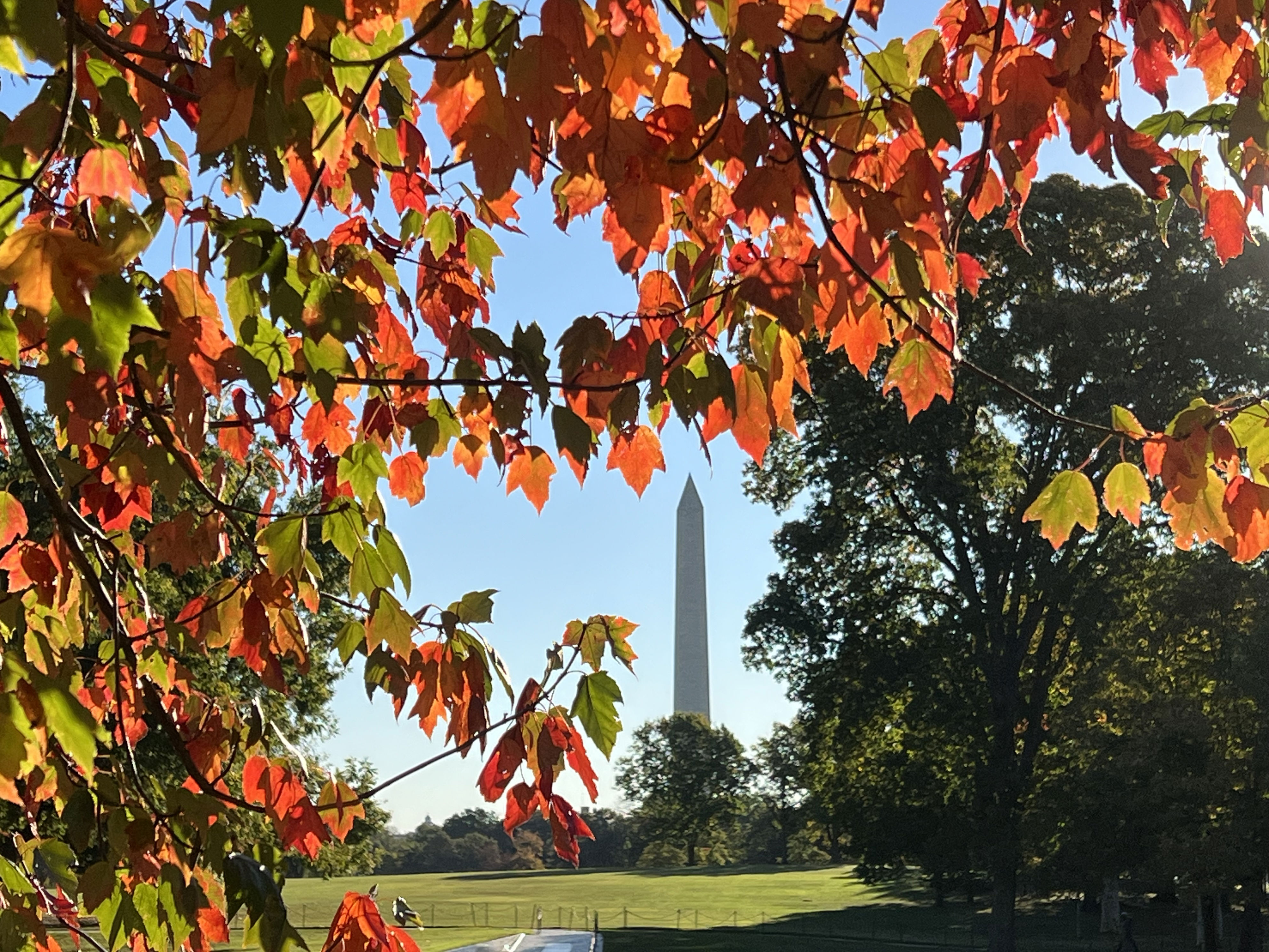 CWG Live updates: Scattered evening showers as cold front passes ...