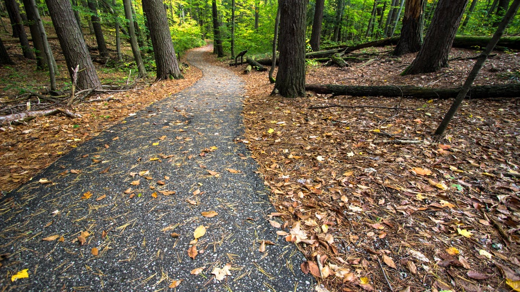 Ohio has one of the most haunted hikes in America