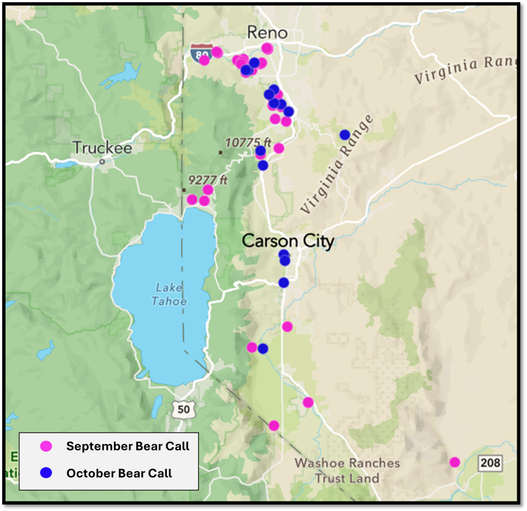 Bears reports are up this time of year in Northern Nevada; see the map