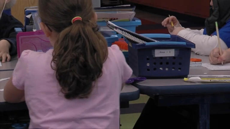 New School Enrollment Plan released to address 'crowding schools' in ...