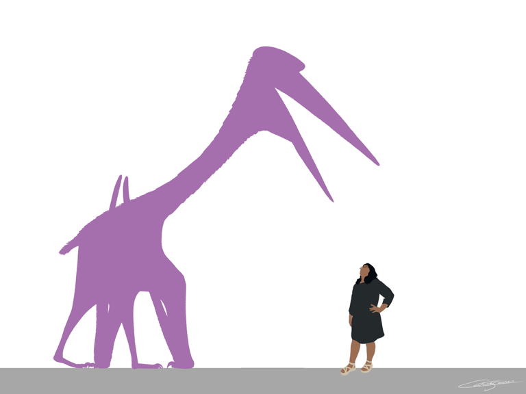 ‘Exceptionally large' flying prehistoric predator found in Syria for ...