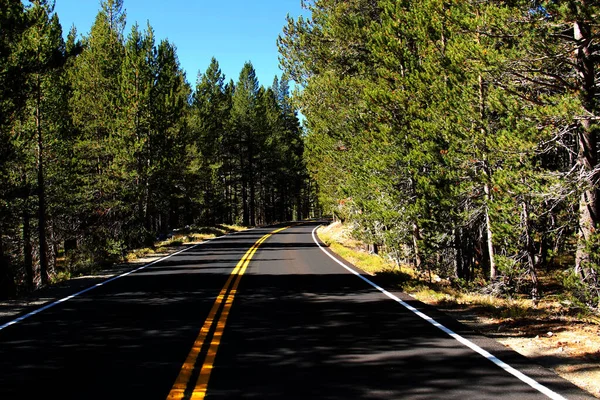 Top Scenic Routes for Road Tripping Across California