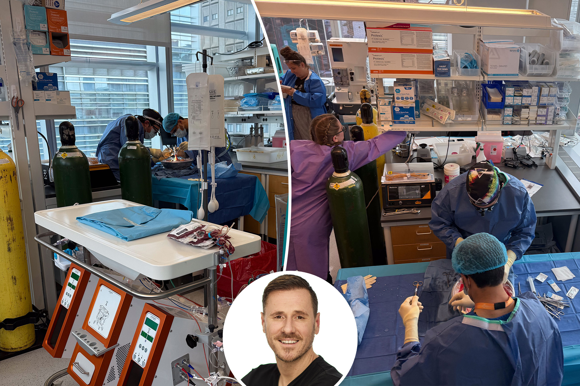 This company aims to end the need for liver transplants — as thousands ...