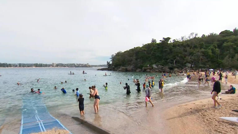 Australia can expect economic bonanza from 'game-changer' rare earths ...