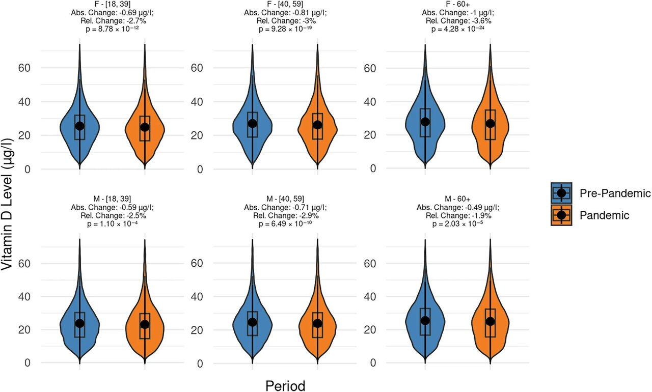 COVID-19: Vitamin D levels fell during pandemic for older women and ...