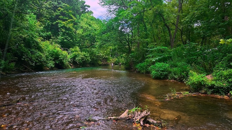 Missouri's Underrated Ozark Mountain Paradise Is An Artsy City ...