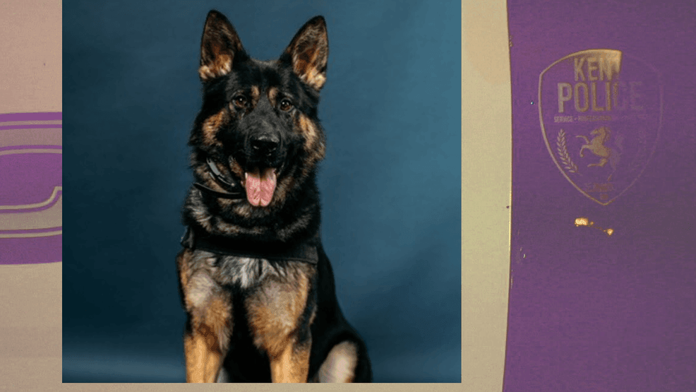 Mere presence of police dog convinces domestic violence suspect to give up
