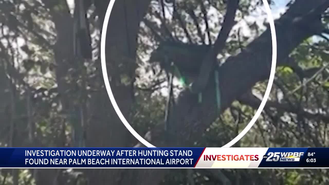 Python Cowboy says tree stand facing Air Force One’s runway may have ...