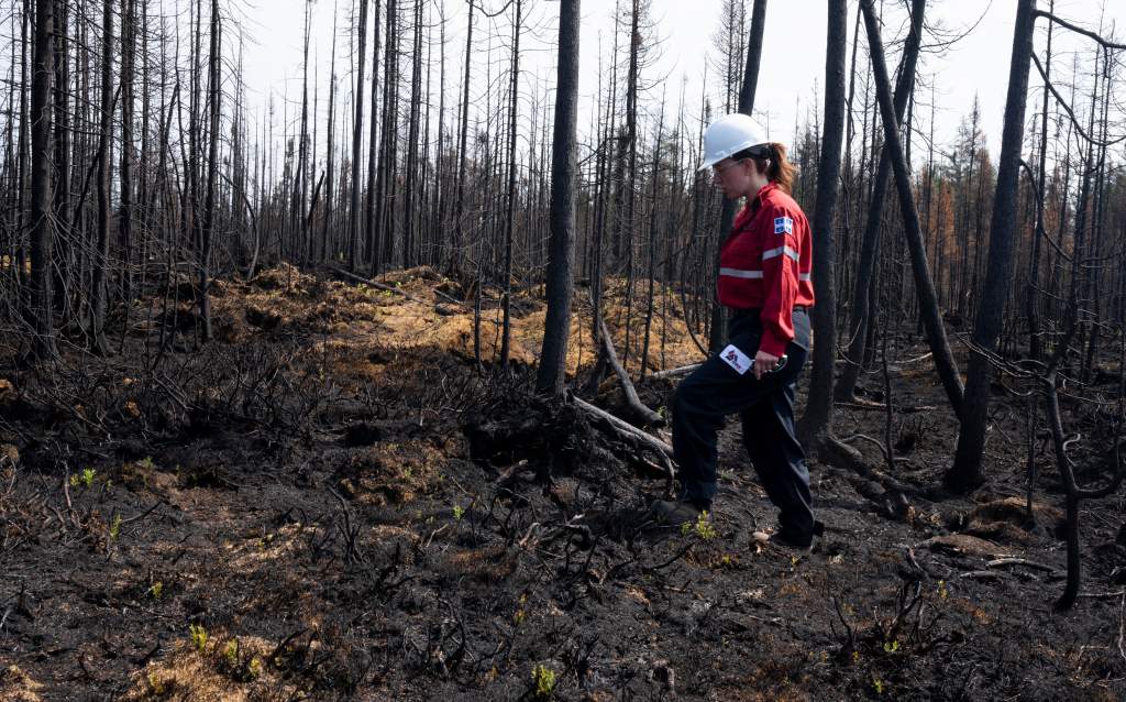 Quebec security minister lifts all bans on open fires