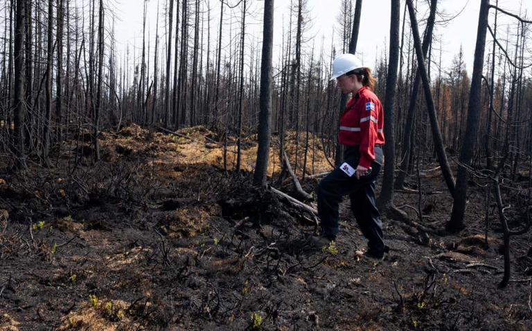Quebec security minister lifts all bans on open fires