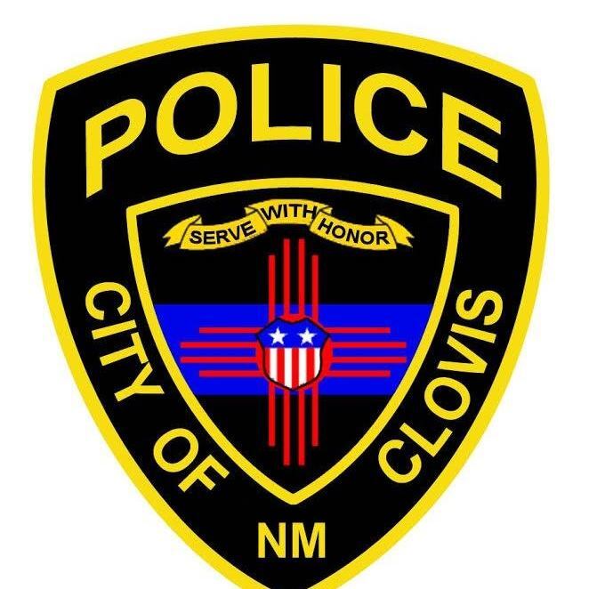 Driver charged with homicide after fatal crash following police chase ...