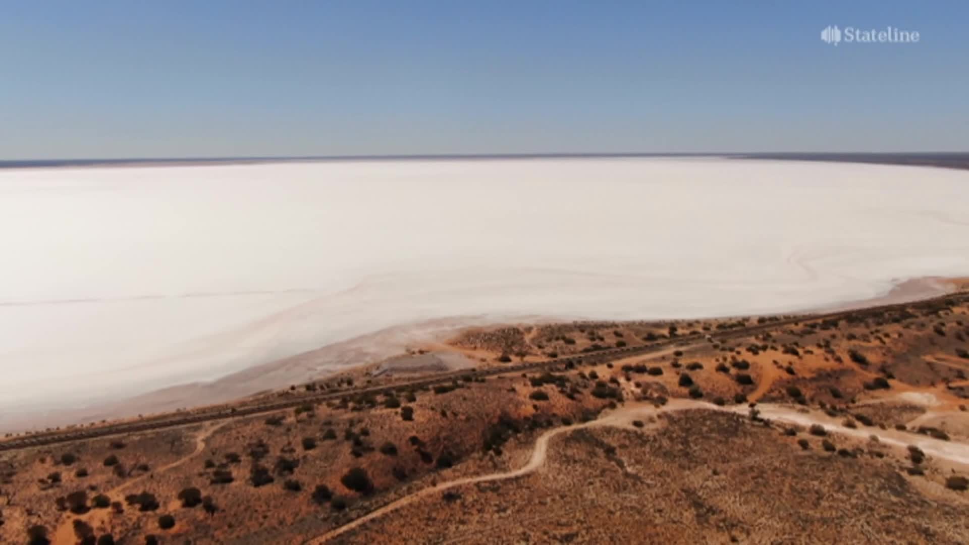 : Weapons maker Saab 'directly linked' to human rights harm over ...