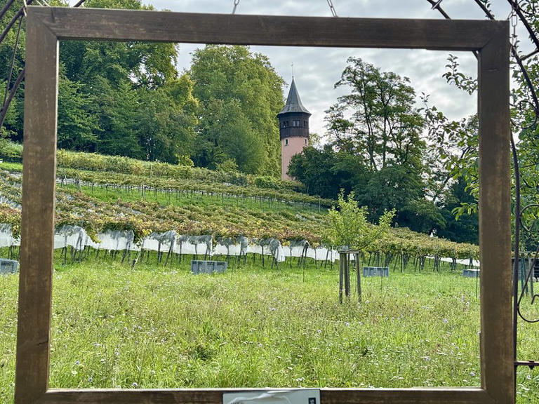 Biking Around the Bodensee: A Journey Through History, Culture, and Scenery