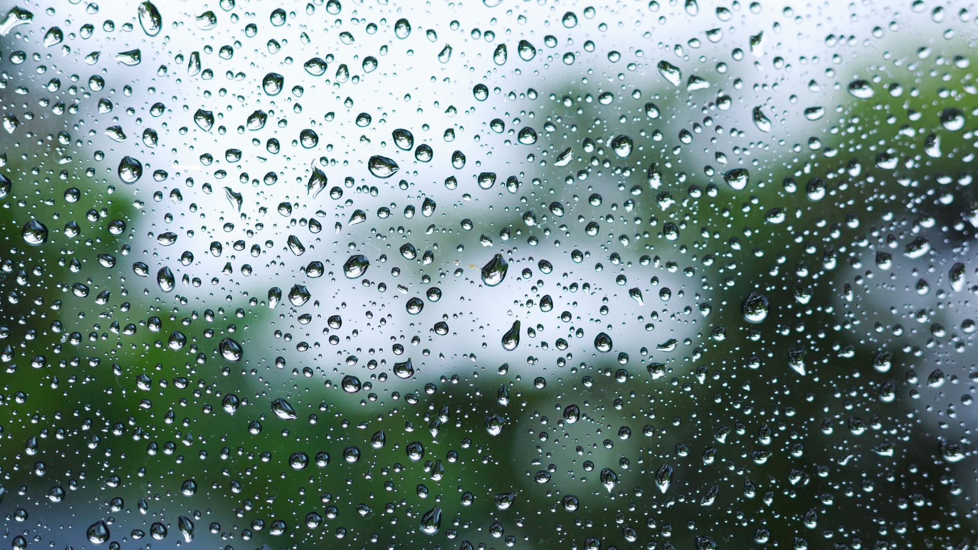 Wind brings low temperatures on Wednesday, stray showers could pop up