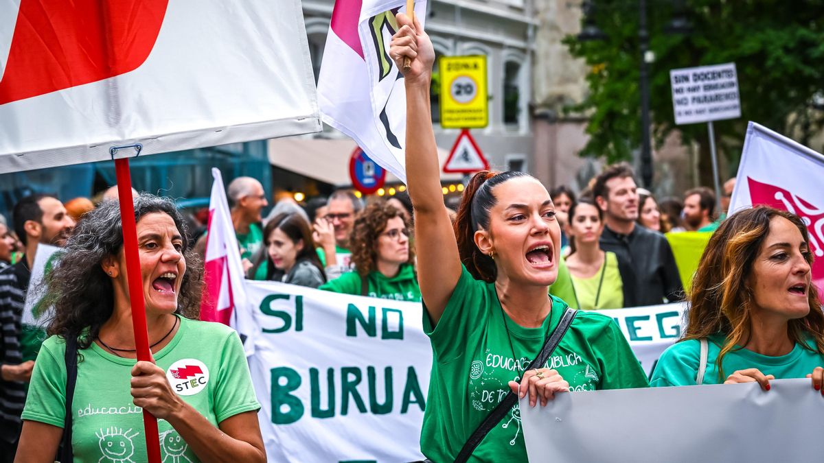 STEC, ANPE y UGT cifran en un 40% el seguimiento de la huelga docente ...
