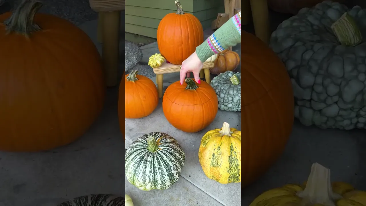 Pumpkin Carving Tips! 🎃