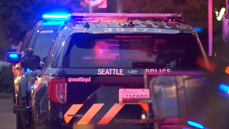 Seattle mother charged with murder in connection to stabbing death of 4 ...