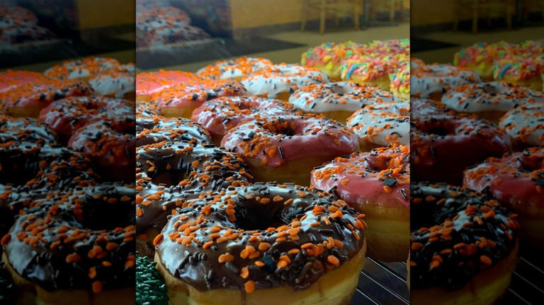 The Best Donut Shops In Every State