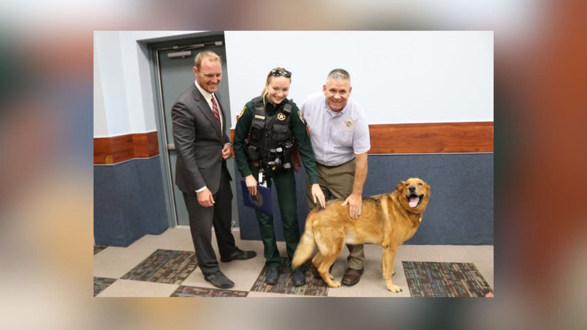 Four-legged hero who saved senior citizen honored in Okaloosa County