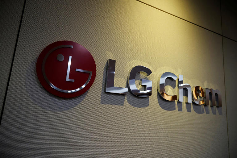 Palicer Capital Demands LG Chem Governance Overhaul, Buybacks
