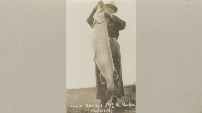 October 20, 1949 - World Record for largest muskie catch