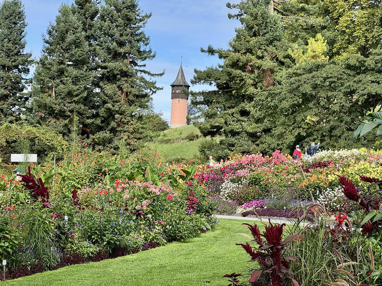Biking Around the Bodensee: A Journey Through History, Culture, and Scenery