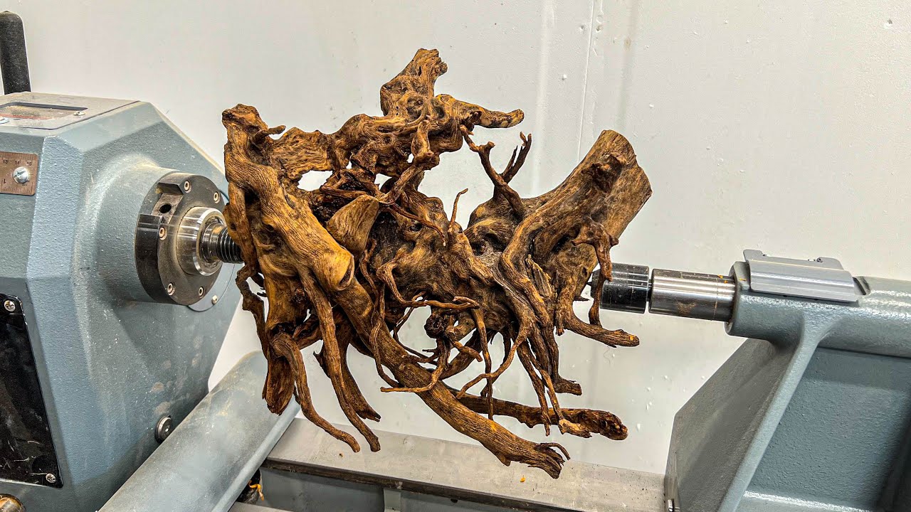 Incredible wood transformation - from terrarium to art!