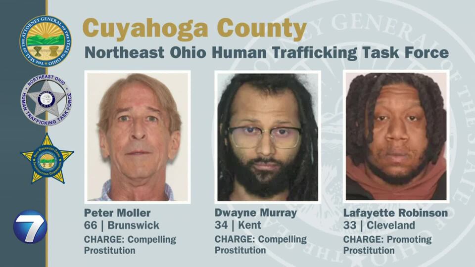 13 men arrested as part of sex sting in Ohio