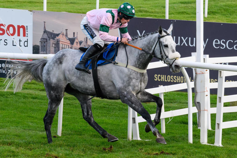 £50,000 feature race at Kelso to be contested all over again by 2024 ...