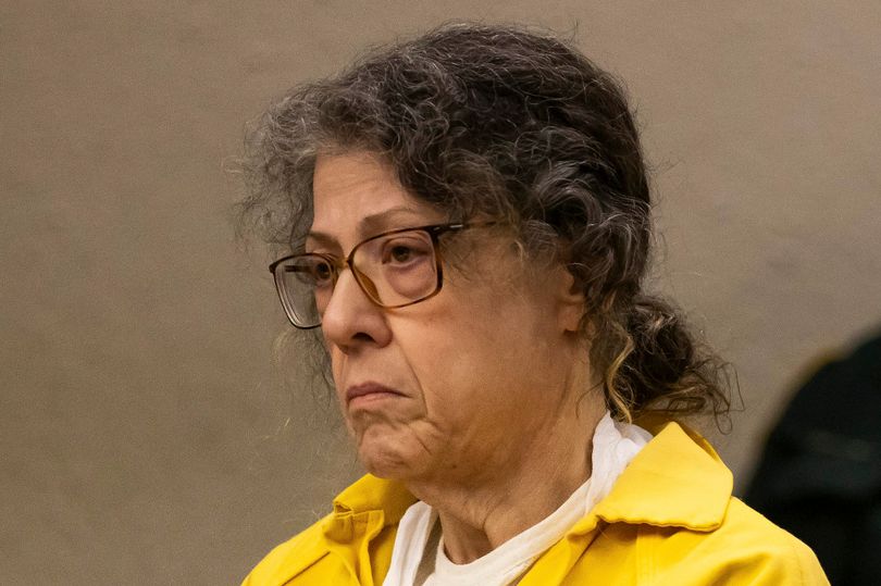Netflix's The Perfect Neighbor: Truth behind Susan Lorincz's claim that ...