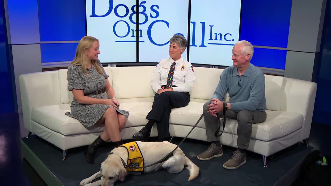 Madison Fire Dept. forms new partnership with animal therapy nonprofit