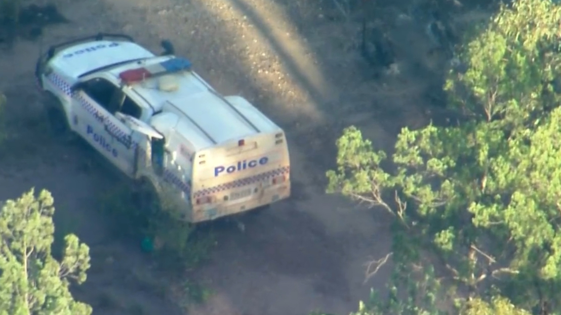 US conspiracy theorist linked to Wieambilla shootings pleads to watered ...