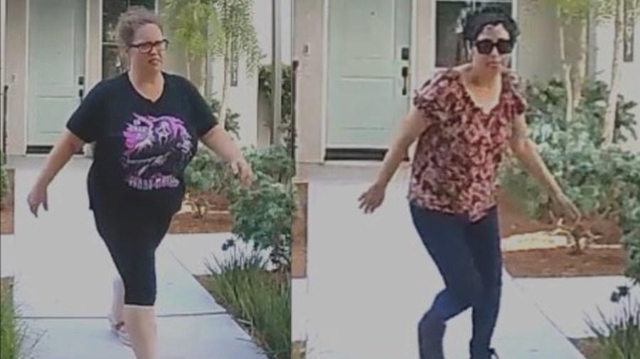 Alleged package thieves wanted by Orange County investigators