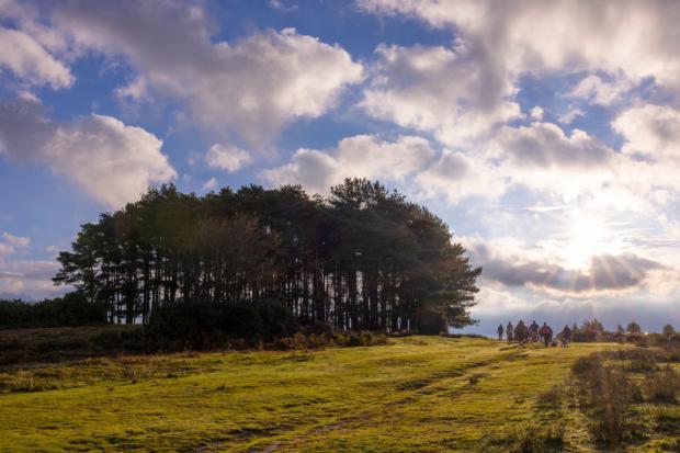 Winners announced in Ashdown Forest Poetry Competition 2025