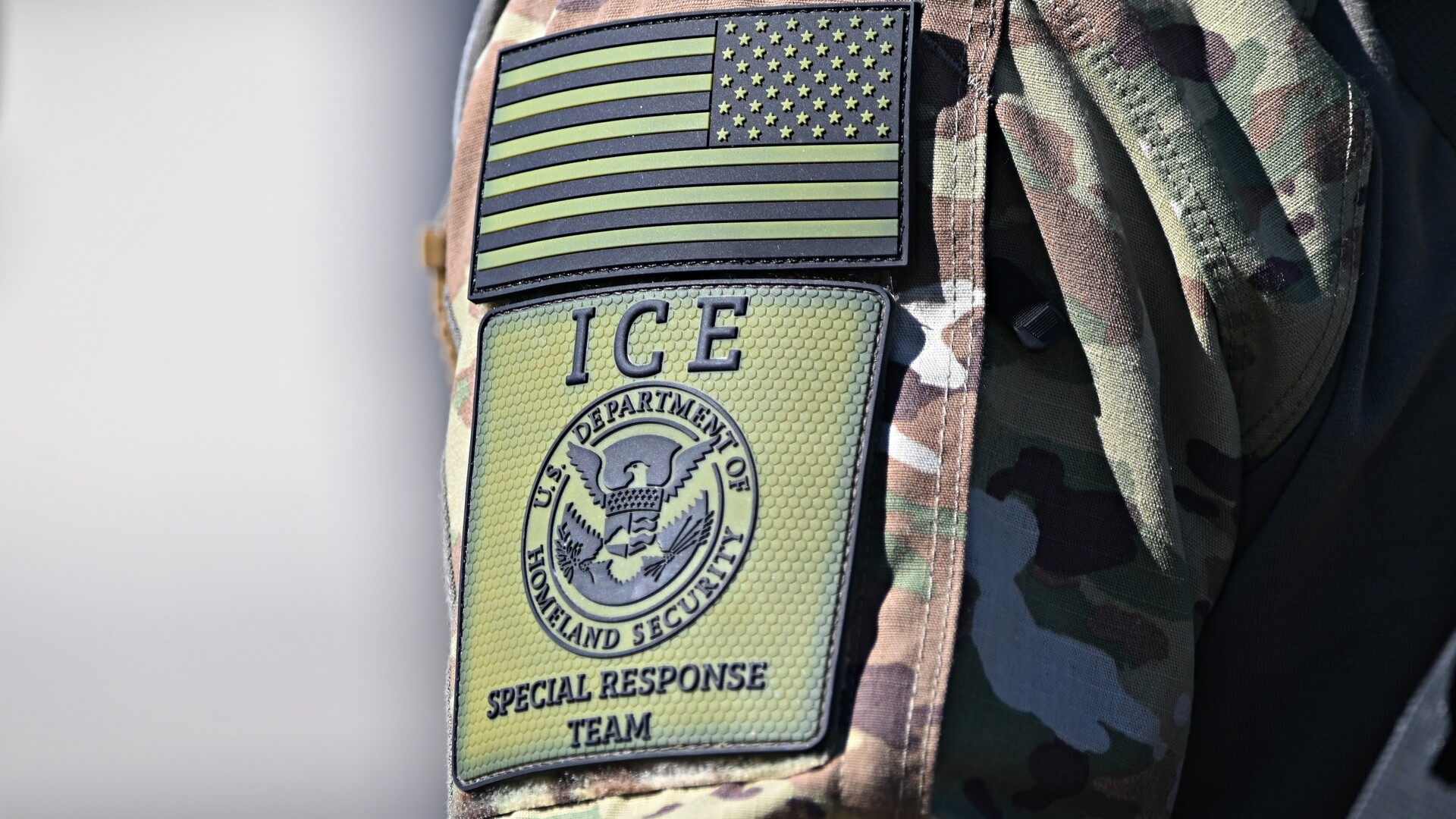 Trump on track to break deportation records after stopping ‘illegal ...