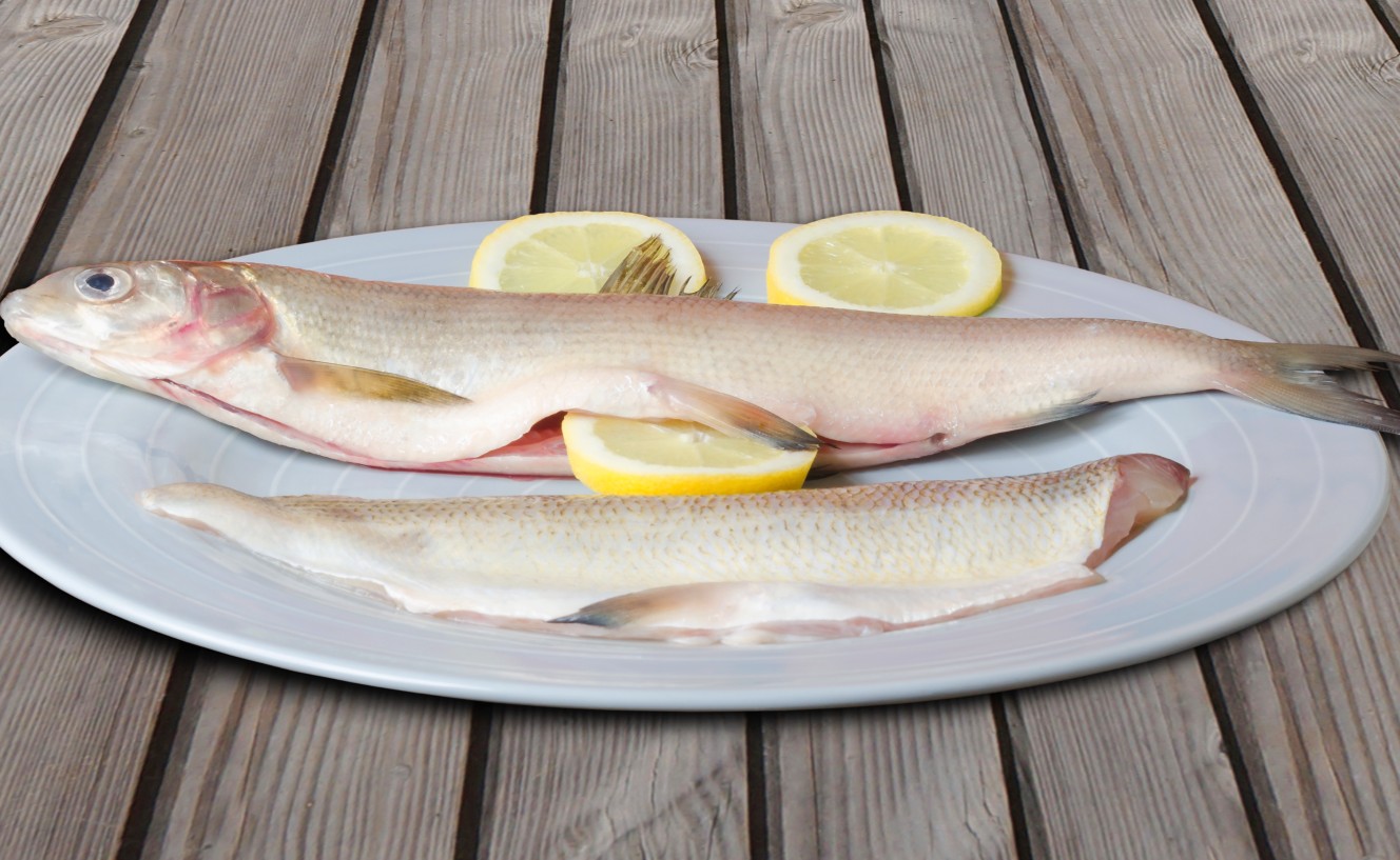 Ta delikatna i smaczna ryba pływa tuż „za miedzą”. Polacy o niej nie ...