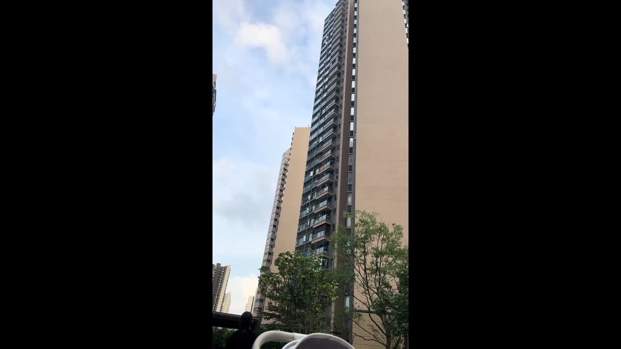 Monkey climbs pipes and moves between units in high-rise, Guangxi, China