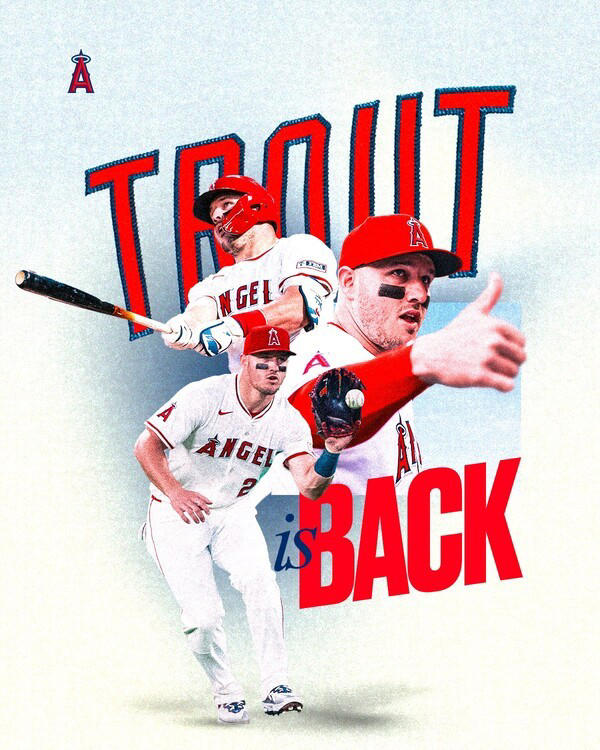 '美 MVP 3회' 마이크 트라웃 "절친 사망=LAA 책임"…1687억 배상하나